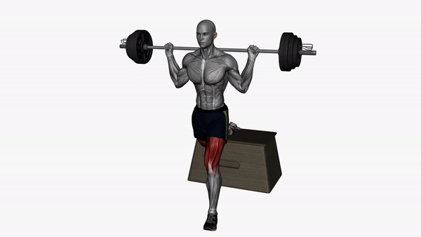 Barbell bulgarian split squat left front-back view – GOGAIN.ME ...