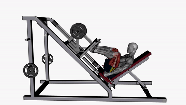 incline 45 degree leg press machine – GOGAIN.ME – FITNESS APP