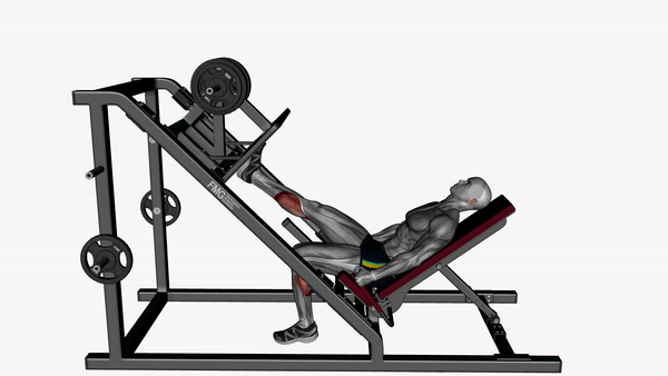 single leg calf raise leg press machine – GOGAIN.ME – FITNESS APP
