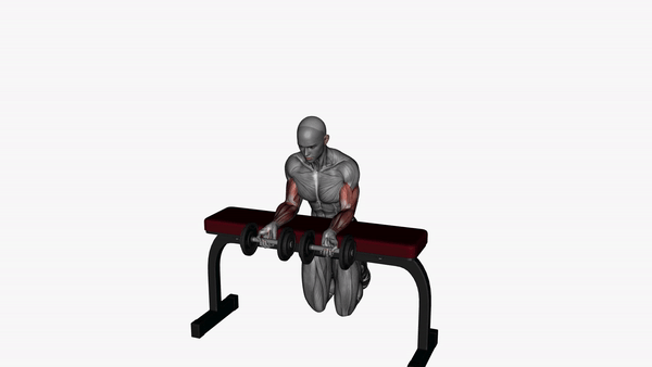 Forearms – GOGAIN.ME – FITNESS APP